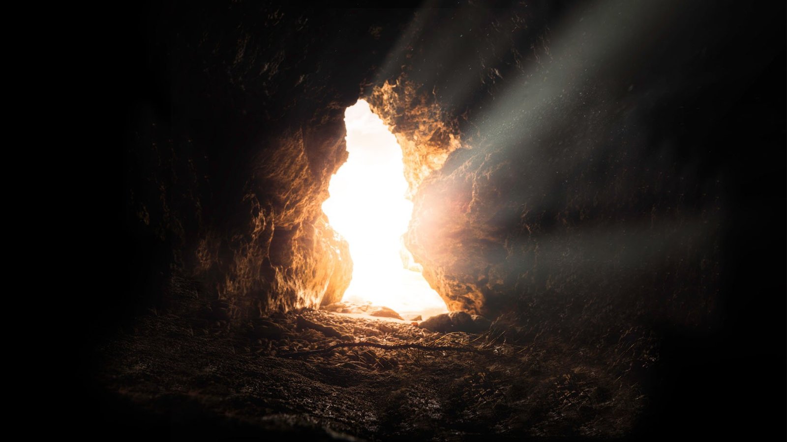 500+ Witnesses to the Resurrection of Jesus – Grace Tidings